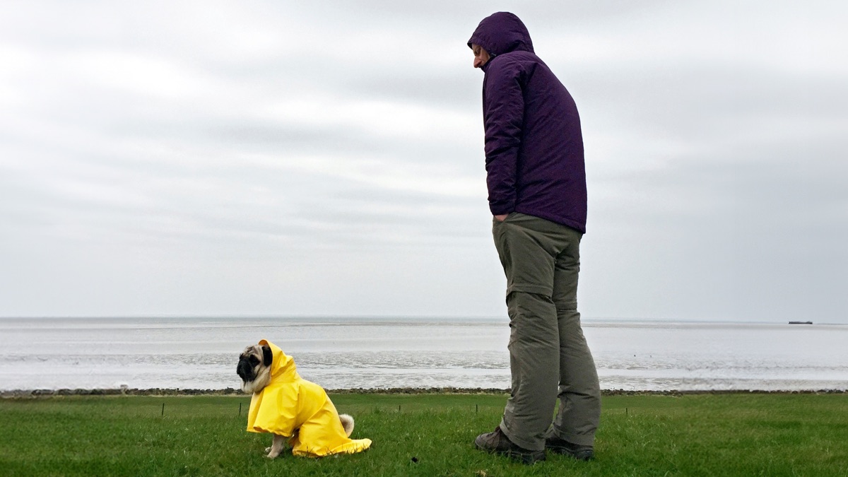 Mit Mops ans Meer - Kesslers Expedition (Staffel 11, Folge 3) - Apple ...