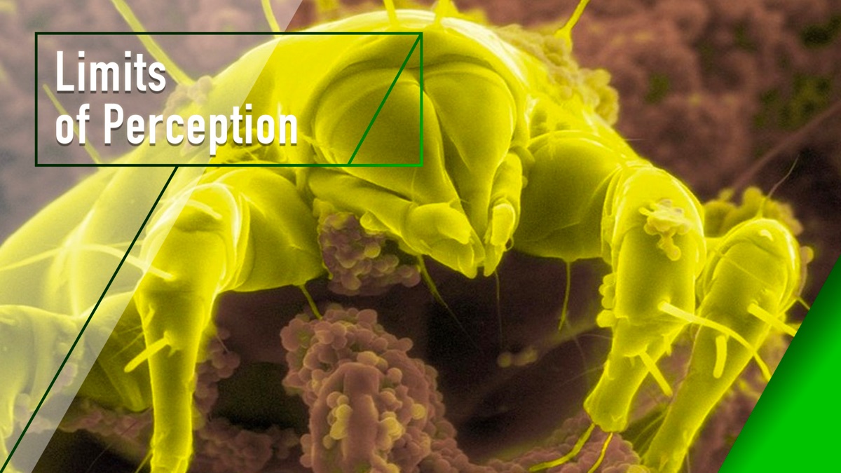 Limits of Perception - Apple TV