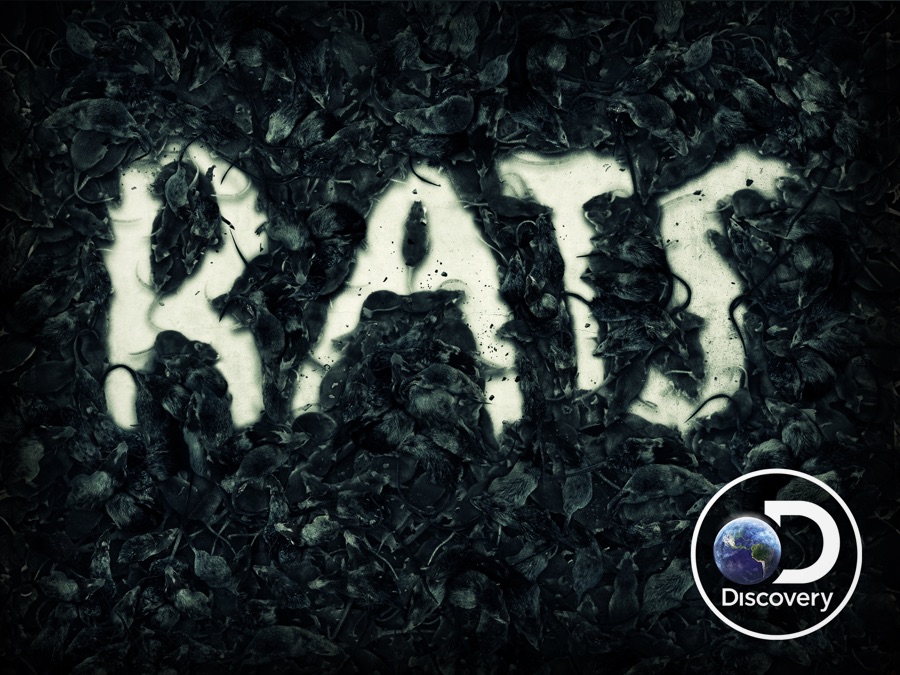 Rats - Apple TV