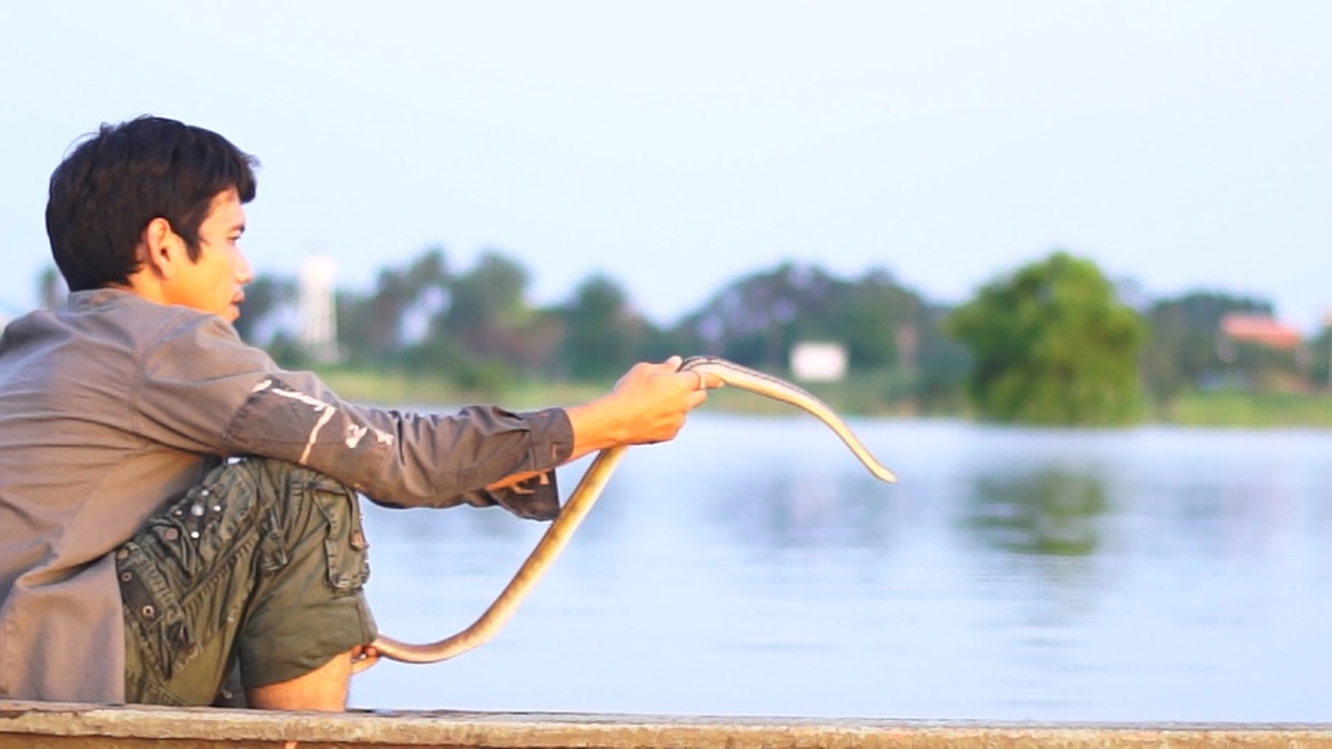‎Rescuing Snakes During the Flooding Season – The Snake Master (Season ...