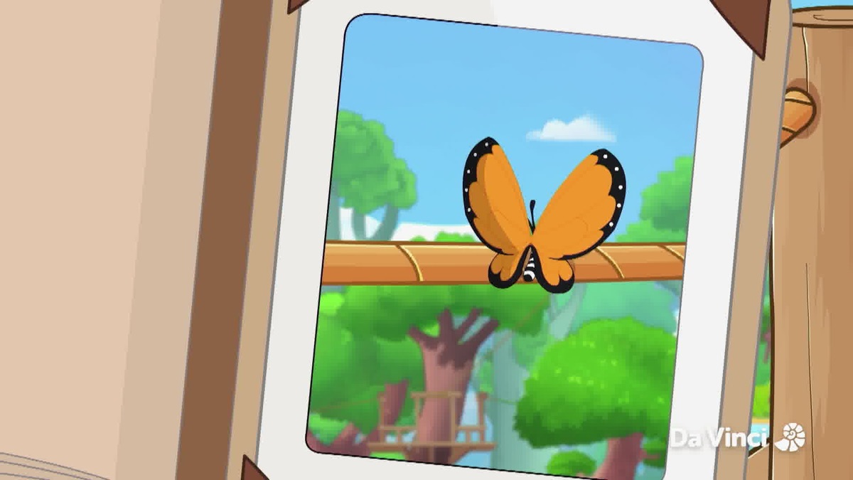 Darwin - Monarch Butterfly - Darwin and Newts - Digital Makes (Season 1 ...