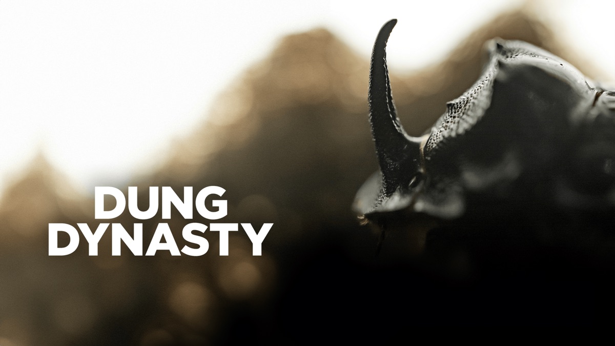 ‎Dung Dynasty - Apple TV