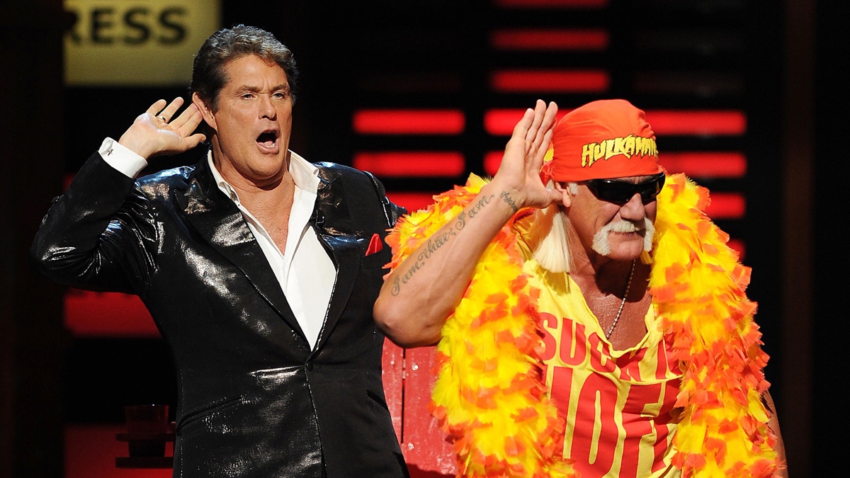 The Roast Of David Hasselhoff - The Roast Of David Hasselhoff (Series 1 ...