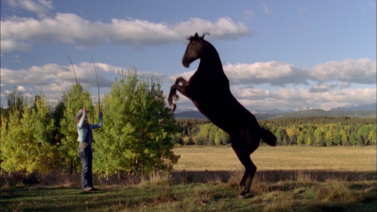 Heartland Amy And Spartan Jumping