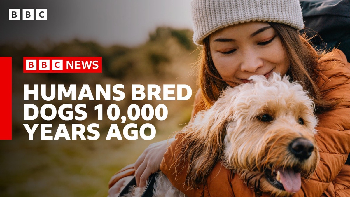 ‎Dog-Human Relationship 5,000 Years Older Than Thought - Apple TV