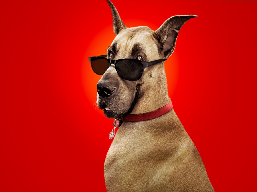 Marmaduke - Apple TV (ES)