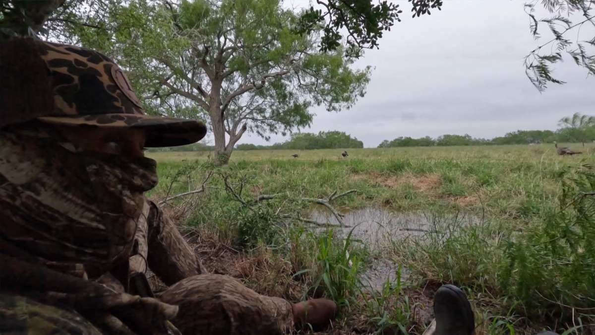 Wild West Longbeards - Backwoods Life (Season 19, Episode 16) - Apple TV