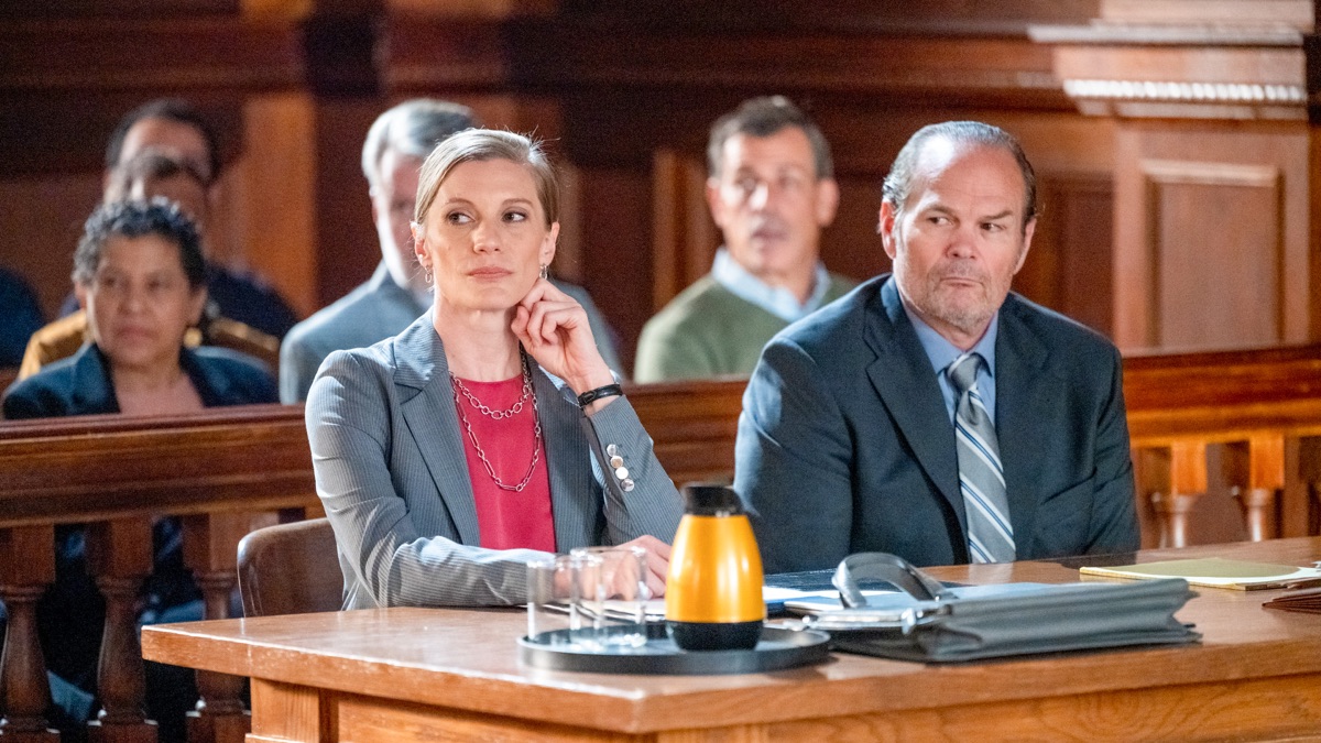 ‎The Perfect Man - Law & Order (Series 24, Episode 2) - Apple TV (HU)