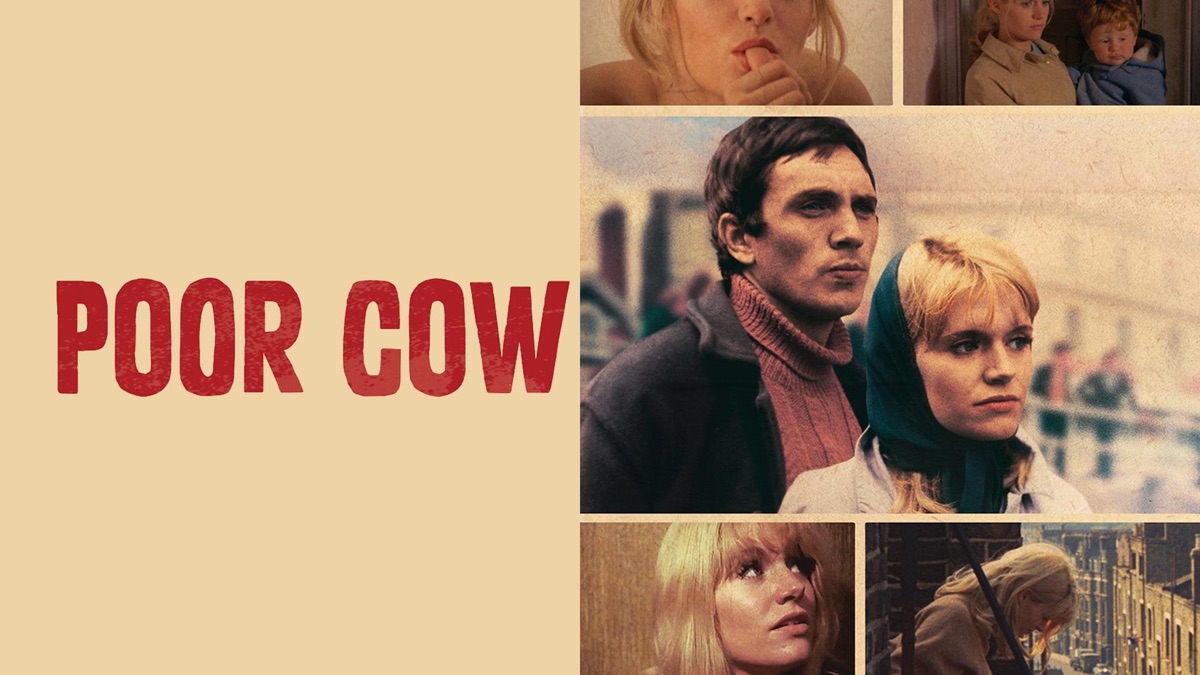 ‎Poor Cow - Apple TV