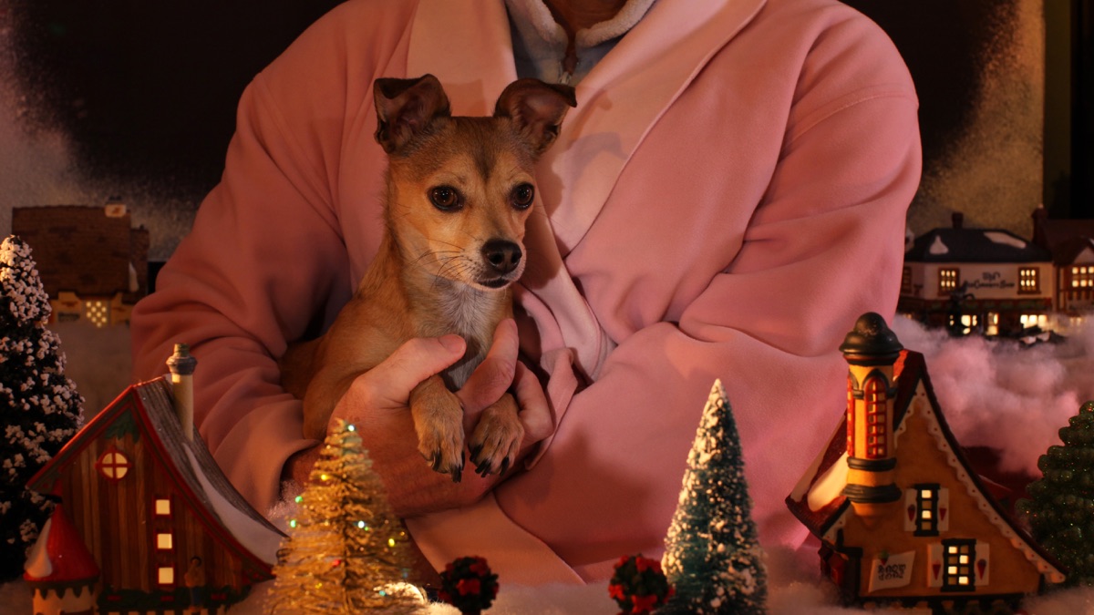 Merry Christmas Officer Hansel - Apple TV