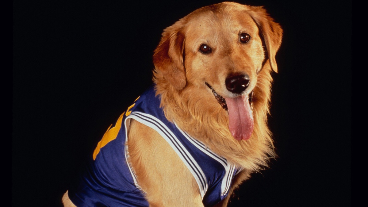 Air Bud | Apple TV (ES)