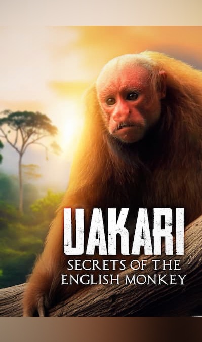 ‎Uakari: Secrets of the English Monkey - Apple TV