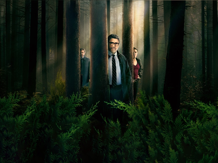 Amazon Prime Pines Series Informacionpublica Svet Gob Gt