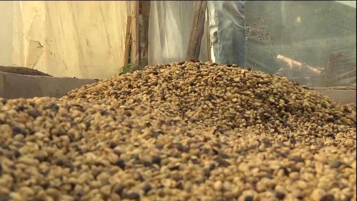 ‎Programa de 10/01/2026 - Globo Rural - Apple TV (BR)