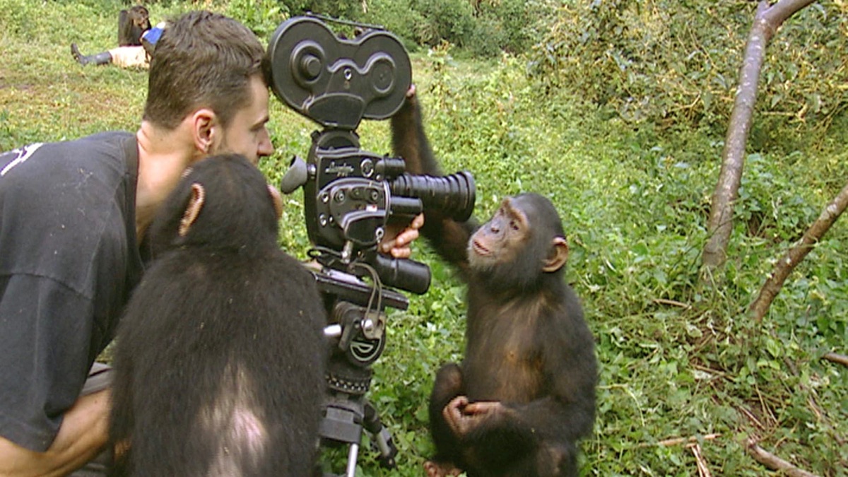 Wildlife Filmmakers - Mishaps And Dangers - Apple TV