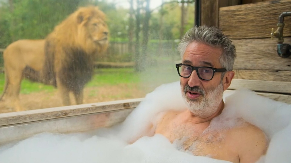 ‎Episode 2 - David Baddiel: Cat Man (Series 1, Episode 2) - Apple TV (UK)
