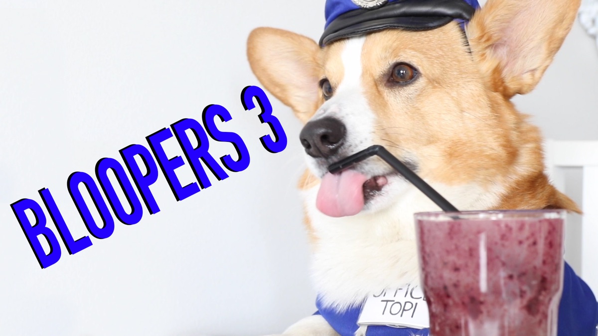 Funniest Bloopers - Topi the Corgi (Season 1, Episode 16) - Apple TV