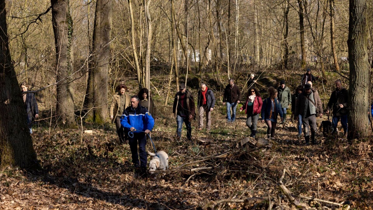 ‎Tel épris - Apple TV