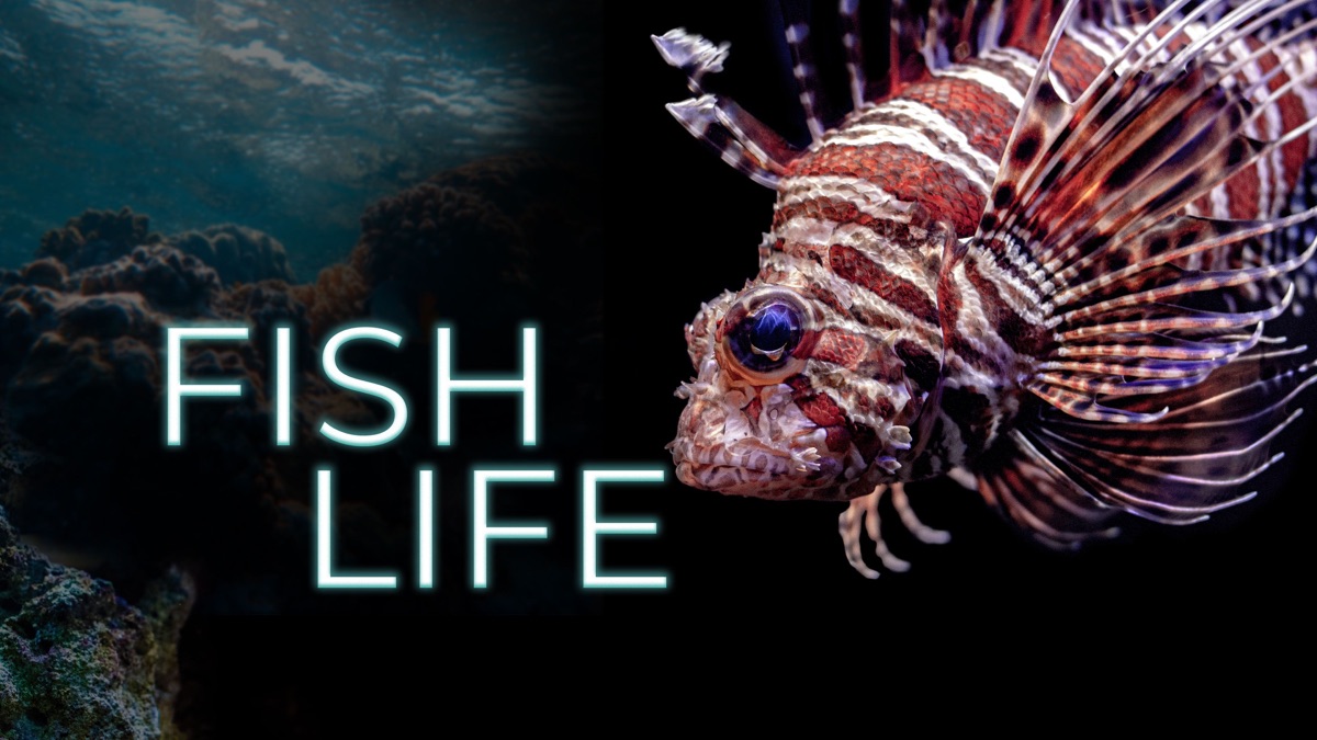 ‎Fish Life - Apple TV