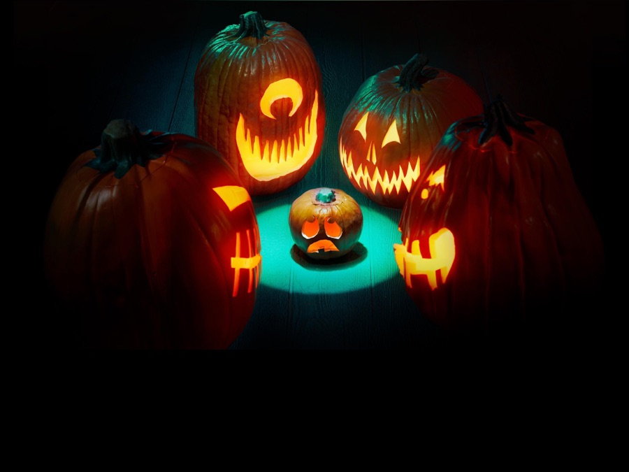 Outrageous Pumpkins - Apple TV