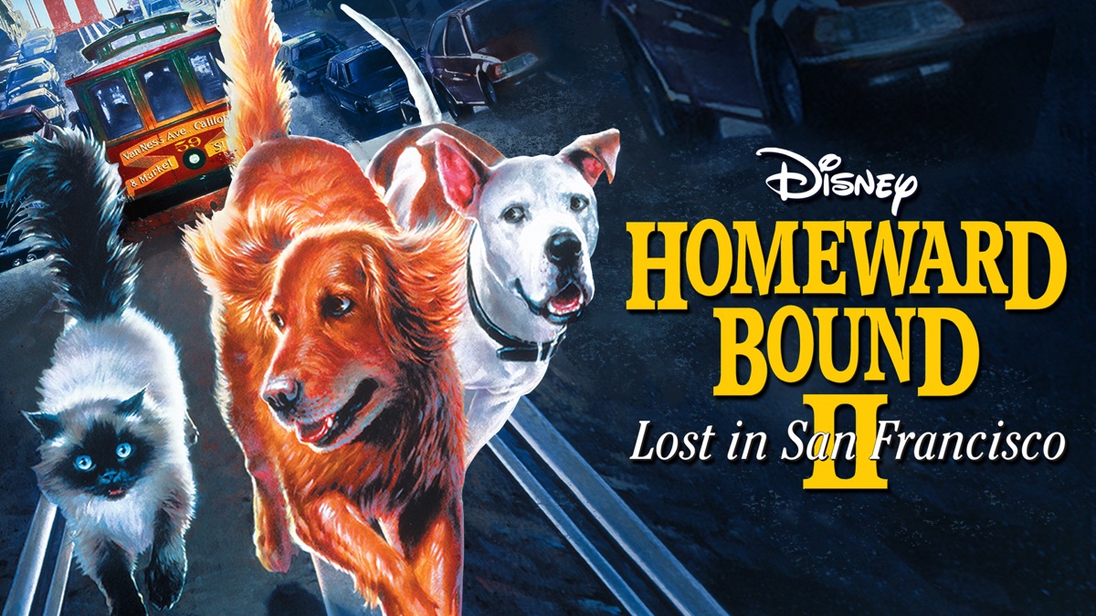 ‎Homeward Bound II: Lost in San Francisco - Apple TV