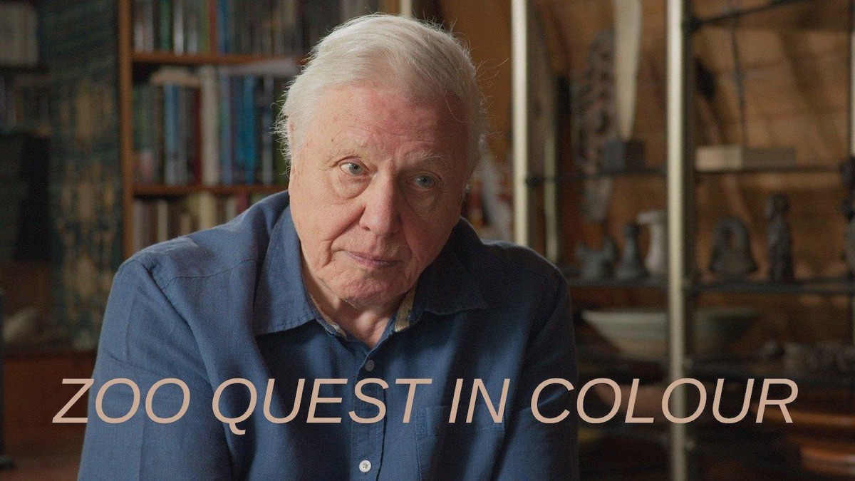 David Attenborough's Zoo Quest in Colour - Apple TV