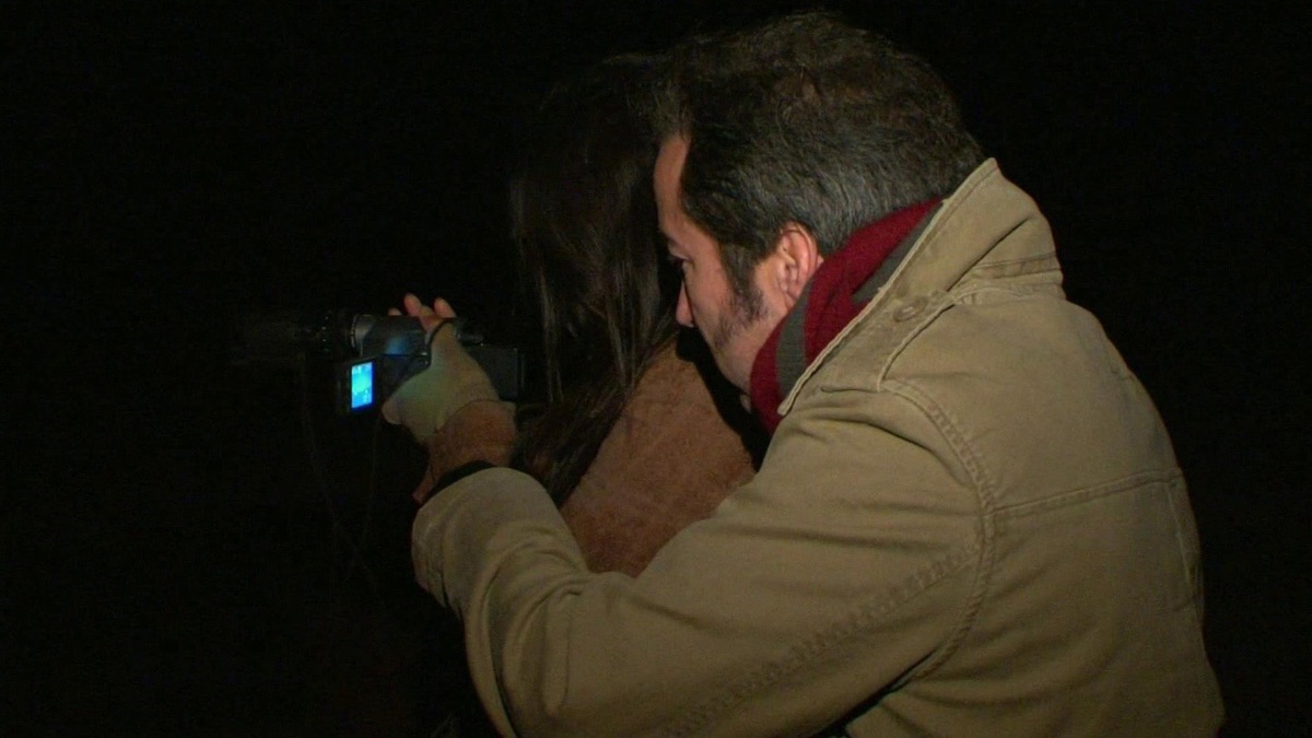 Haunted Mansion Mist / Starlight Intruder - Fact or Faked: Paranormal ...