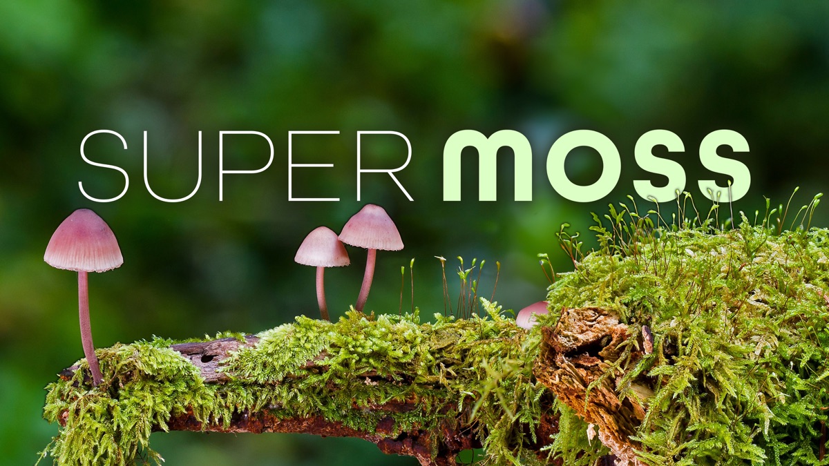 ‎Super Moss - Apple TV