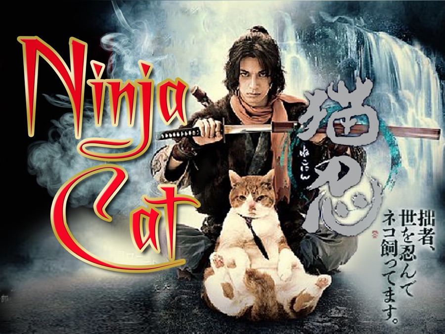 Ninja Cat - Apple TV