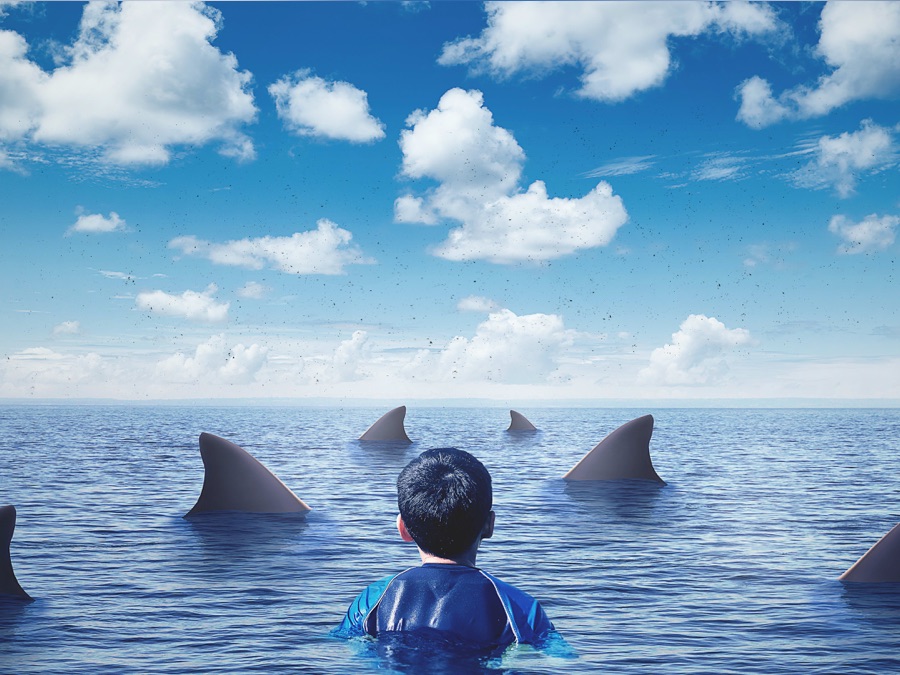 Shark Attack: A Boy's Fight to Survive - Apple TV