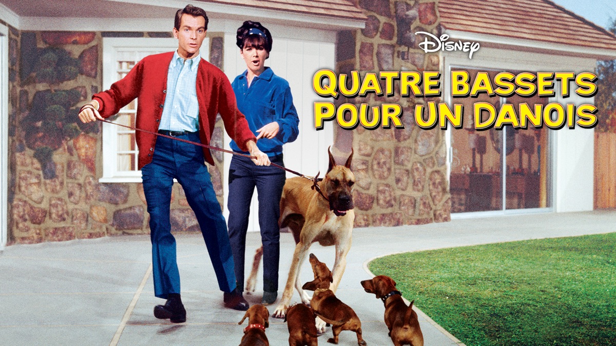 ‎Quatre bassets pour un danois - Apple TV