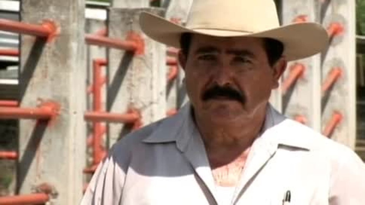 Los Zetas - Apple TV