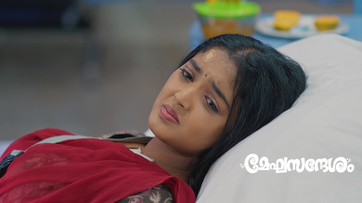 ‎Chandra Orders Apoorva to Send Sharada Away - Meghasandhesham (Series ...