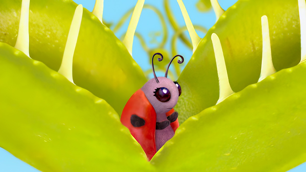 ‎Watch Save the Ladybug! / Save the Sea Turtle! - Wonder Pets (Season 2 ...