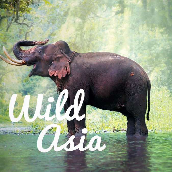 Wild Asia - Apple TV