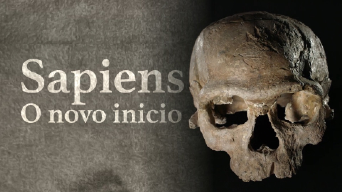 Homo Sapiens Les Nouvelles Origines Apple Tv Be