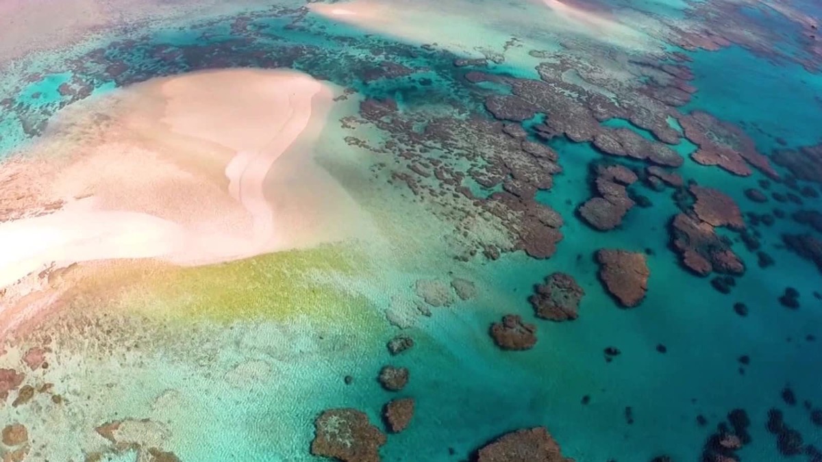 The History of Australia's Wreck Reef - Offshore Fishing Tips & How-To ...