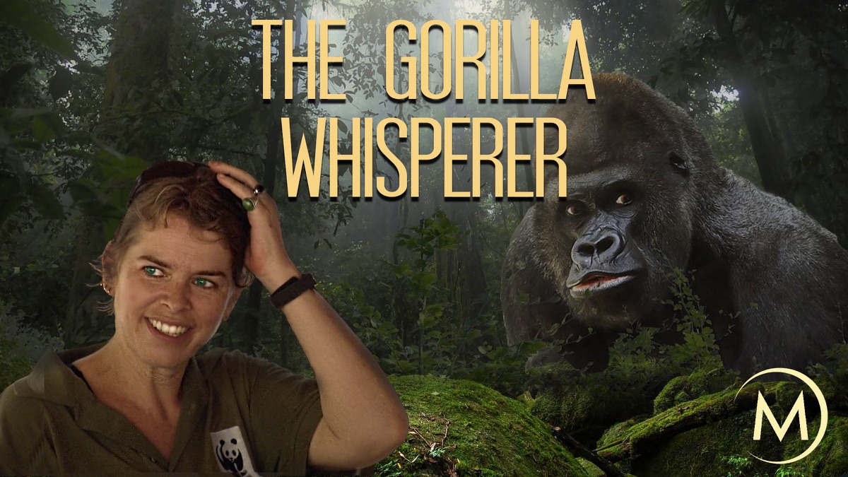 The Gorilla Whisperer - Apple TV