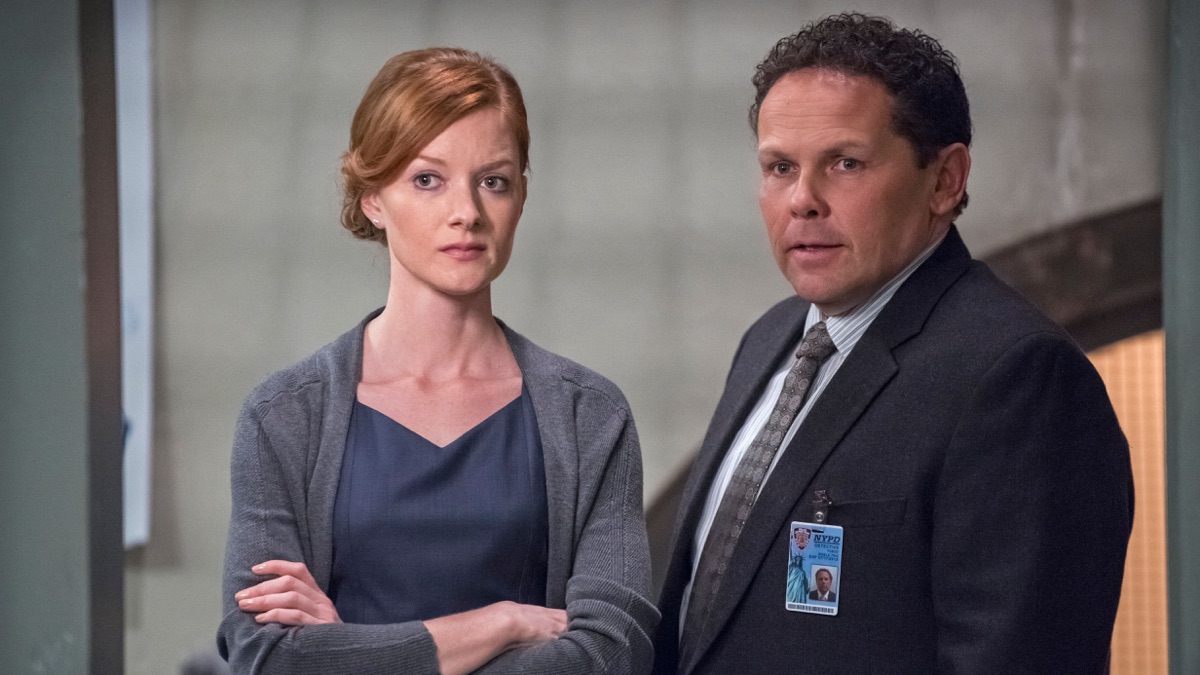 Wrenn Schmidt Person Of Interest