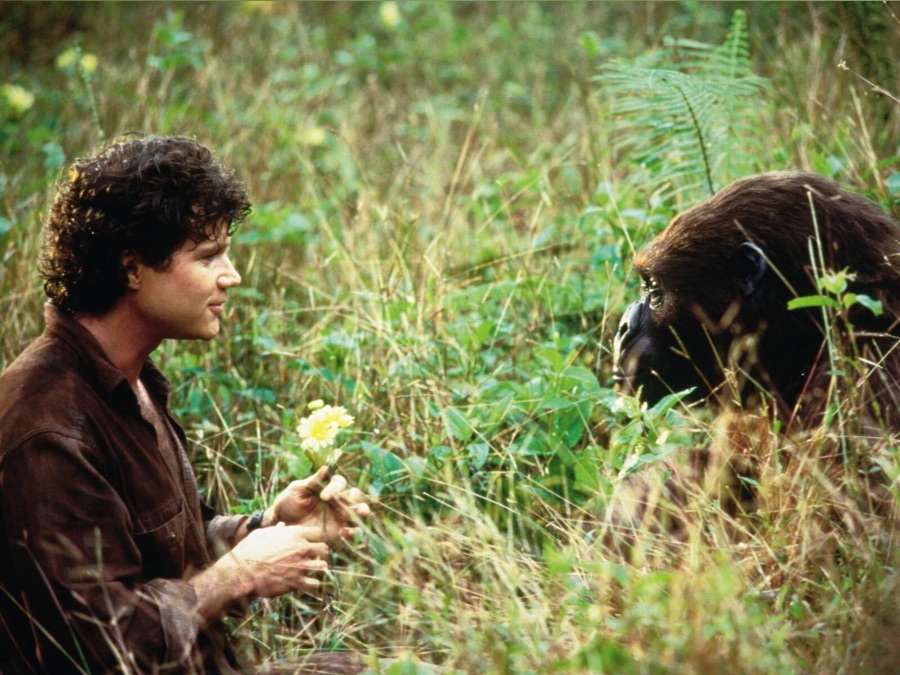 Kongó – Apple TV (HU)