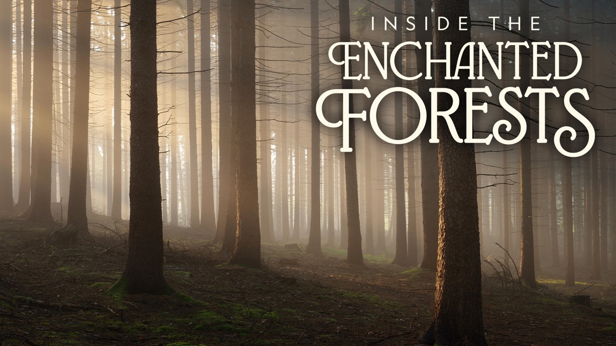 ‎Inside the Enchanted Forests - Apple TV