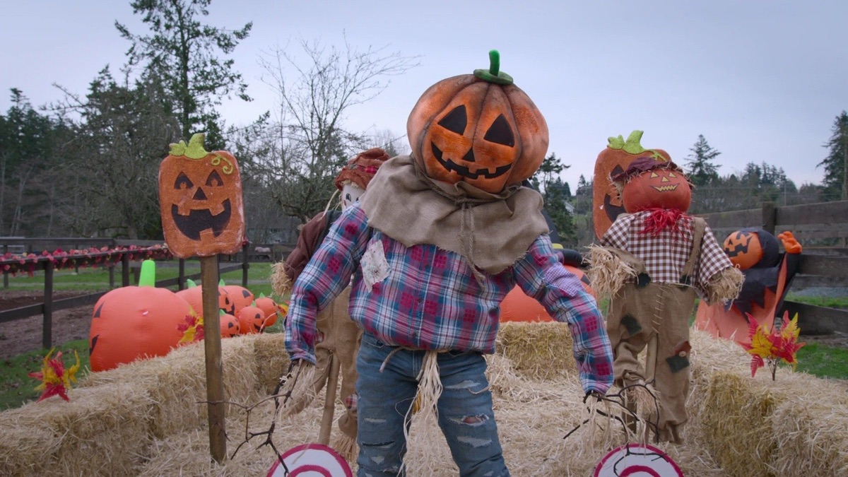‎Which Witch Is Which? - Scaredy Cats (Series 1, Episode 6) - Apple TV (MX)