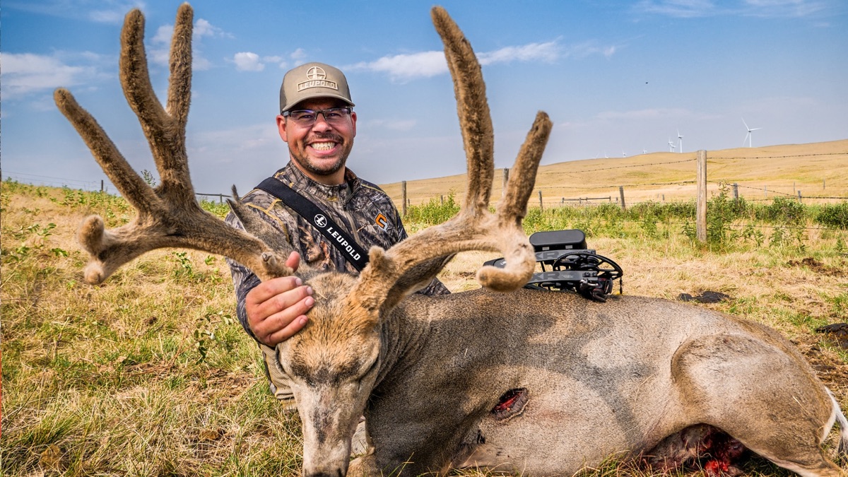 Tips On Trapping Nest Predators, Spot And Stalking Giant Mule Deer ...