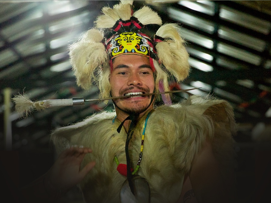 Surviving Borneo - Apple TV