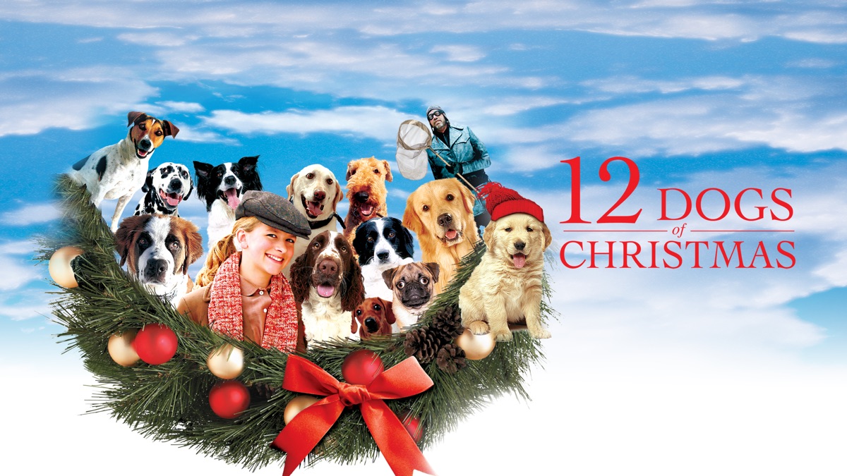 ‎12 Dogs of Christmas: Great Puppy Rescue - Apple TV