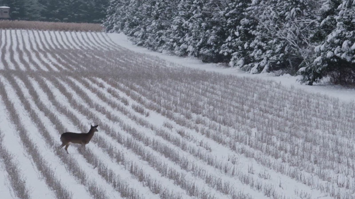 Gun Season Traditions - Driven with Pat & Nicole (Season 18, Episode 10 ...