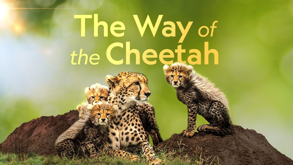‎The Way of the Cheetah - Apple TV