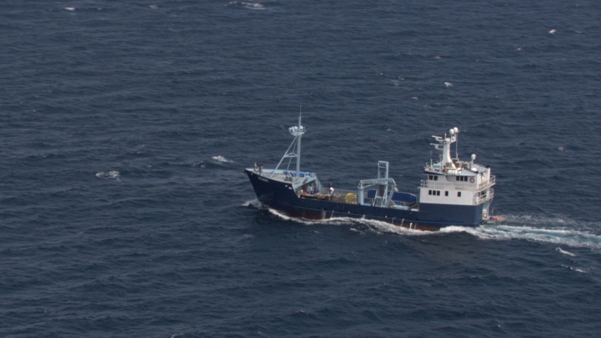 Giants of the Deep or Squid Row - Shark Men (Season 2, Episode 10 ...