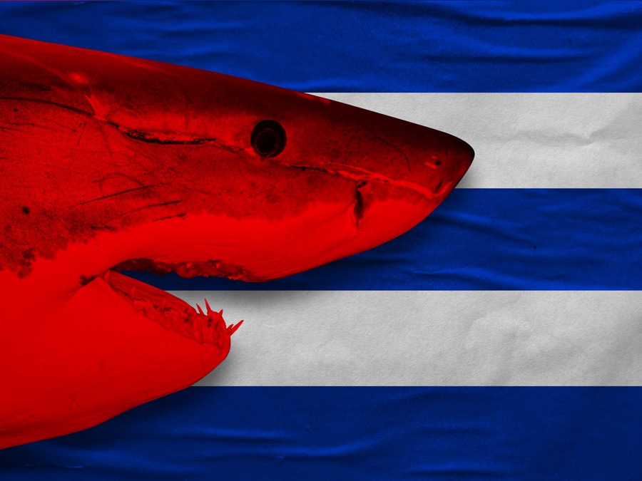 Tiburones: Sharks of Cuba - Apple TV