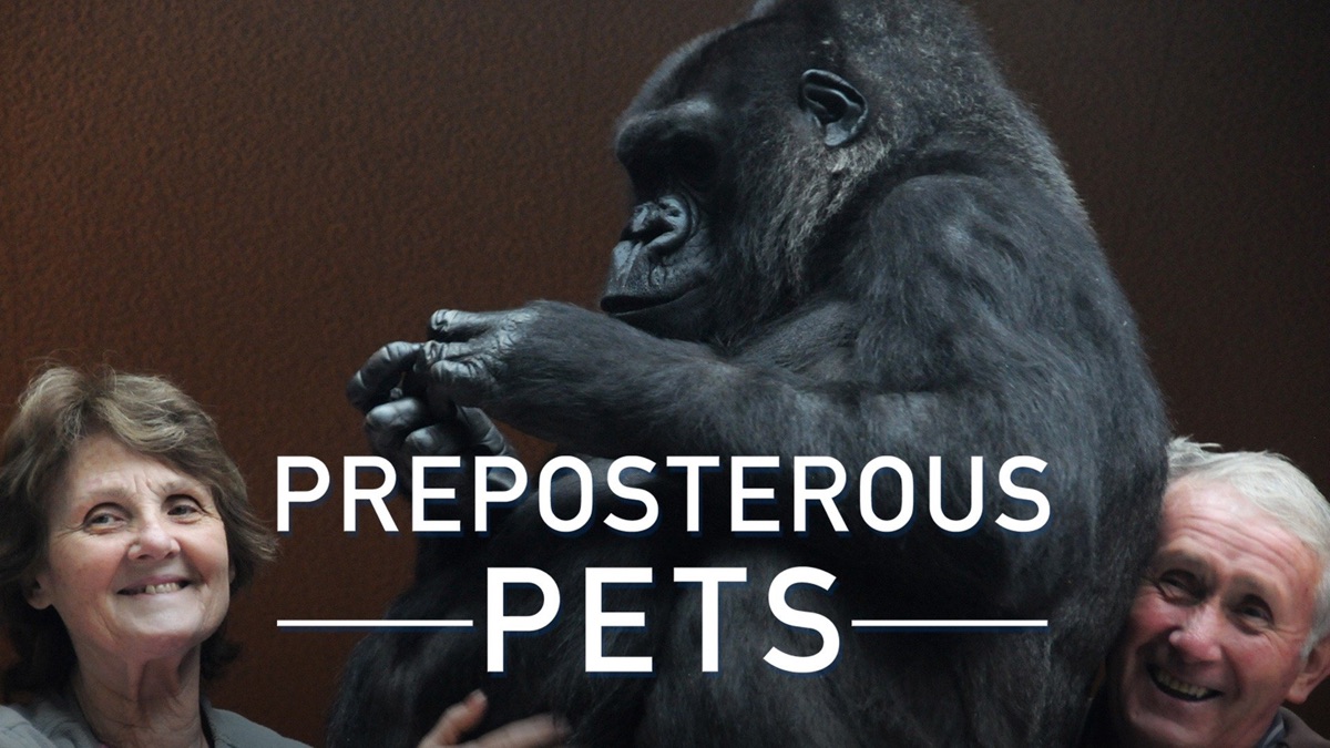 ‎Preposterous Pets - Apple TV